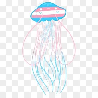 Transparent Jellyfish Pride You Can Buy These As Shirts Jellyfish Hd