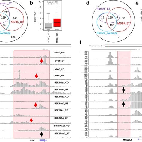 Definition And Characteristics Of 15 Chromatin States In Rumen