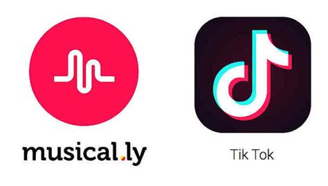 Why Is Tik Tok Popular
