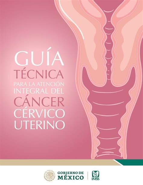 Gu A T Cnica Para Intenci N Integral Del C Ncer C Rvico Uterino