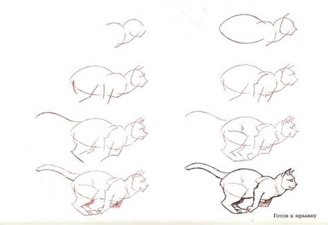 大混混的相册 50种猫的画法 Katzenzeichnung Katzen zeichnungen Zeichnung