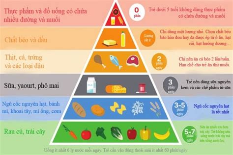 Thông tin về tháp dinh dưỡng cho trẻ 1 6 tuổi ba mẹ cần biết The Gold