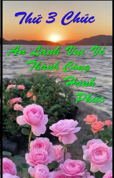 Ghim của Hoa Phượngđỏ Yang trên good morning Hình ảnh gia đình Hoa