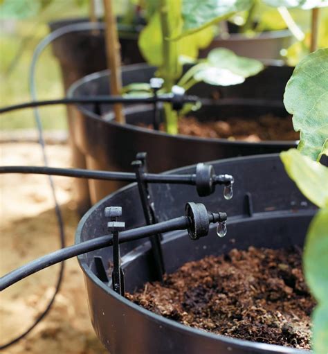Solar Drip Watering Kit Lee Valley Tools
