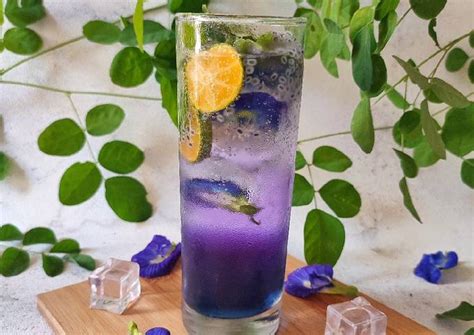 Resep Mojito Butterfly Pea Oleh Rahayu Sartika Br Sembiring Cookpad