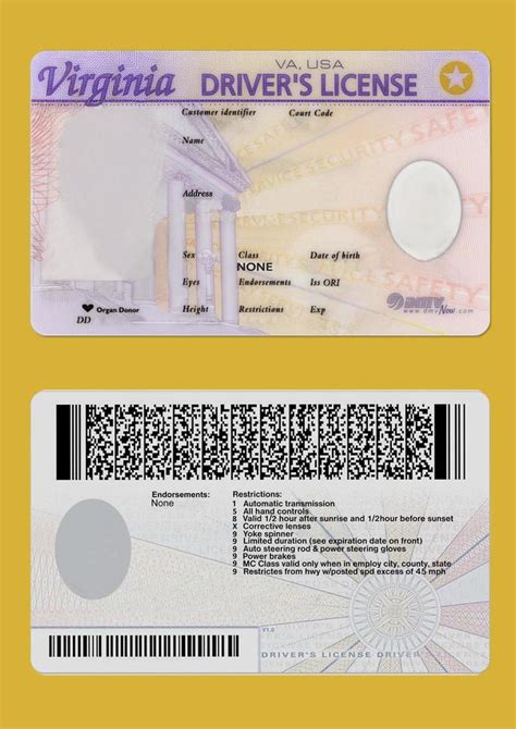 Blank Virginia Driver License Template 16655844 Stock Photo At Vecteezy
