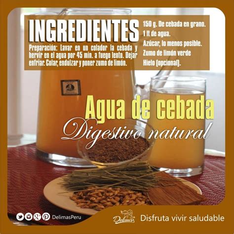 Agua De Cebada Descubre Porqu Alivia El Dolor De Estomago Blog