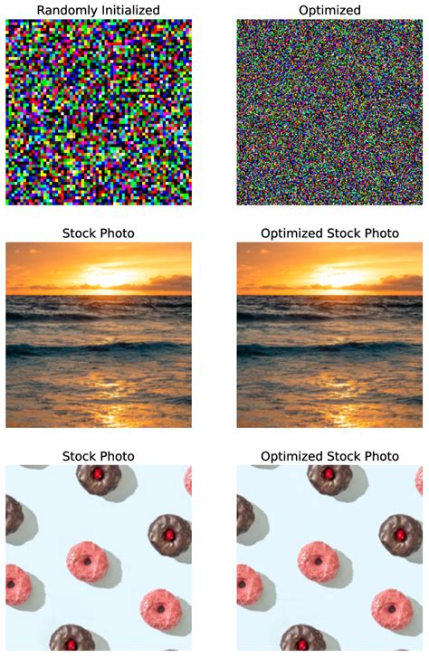 Some Examples Of The Proposed One Shot Test Vector For The DenseNet 121
