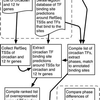 Workflow Of The Bioinformatic Analysis Our Input Data Consist First