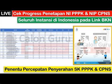 LIVE Cek Progress Penetapan NI PPPK NIP CPNS Seluruh Instansi Di