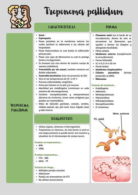 Treponema Pallidum Eduardo Rivero UDocz