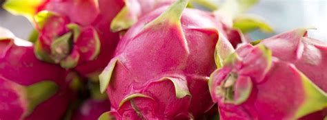 Composición nutricional de la pitahaya o fruta del dragón canalSALUD