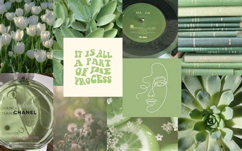 Sage Green Laptop Background Aesthetic Sage Green Wallpaper