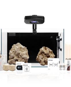 Reef Casa Aquariums Frag Box Corals