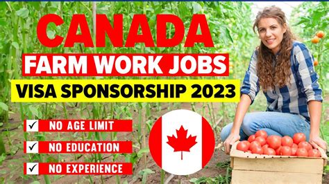 Farm Jobs In Canada With FREE Visa Sponsorship 2023 Canada Work Visa
