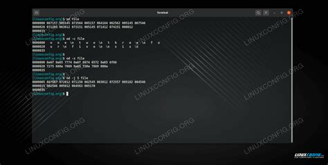 Commande Od Sous Linux Avec Exemples Tutoriel De Ligne De Commande Linux