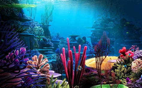 Arrecife De Coral Arte 3d Mundo Submarino Peces Vida Silvestre Mar