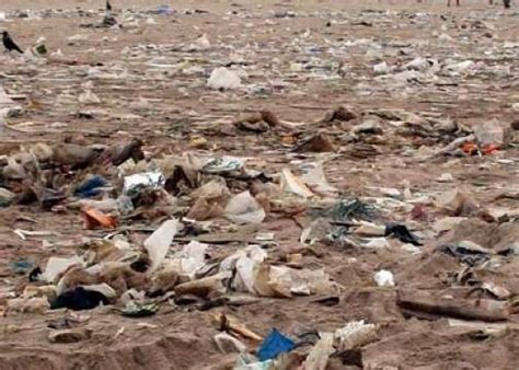 9 Different Types Of Pollution On Earth What They Causes And Effects