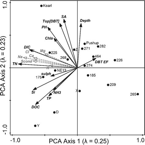 principal components analysis pca plot including the first two download scientific diagram