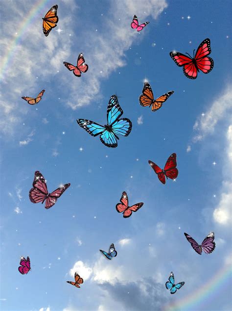 Share Glitter Butterfly Wallpaper Latest In Cdgdbentre