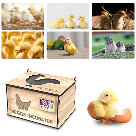 CheAAlet Automatic Chicken Hatching Machine With Temperature Control