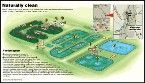 Constructed Wetlands For Wastewater Treatment A 20 Year Success Story