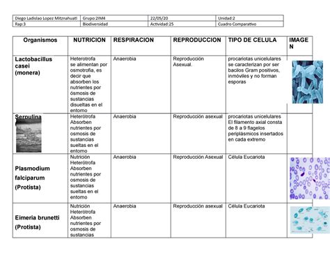 Tabla De Los Reinos
