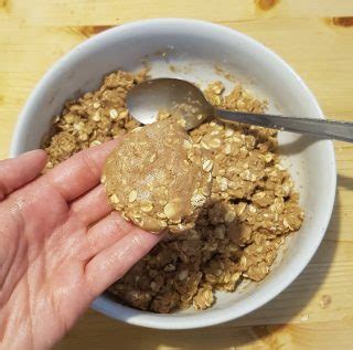 Biscotti Vegani Ai Fiocchi D Avena Integrale Frolla Che Ti Passa