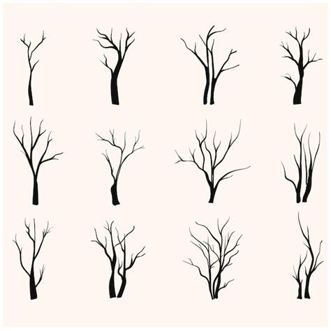 Premium Vector Black Branch Tree Or Naked Trees Silhouettes Set