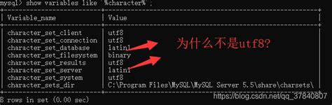 mysql字符集及配置 mysql字符集配置参数 csdn博客