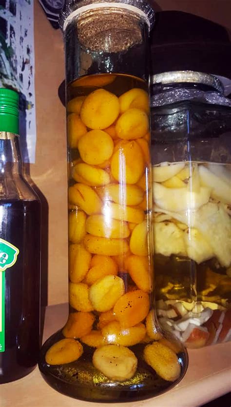 Rhum Abricots secs Rhum Arrangé Recette ingrédients et conseils