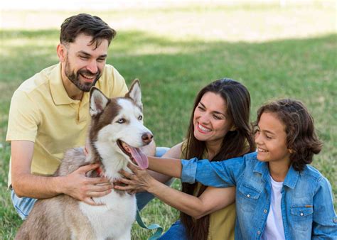 Razas de perros perfectas para familias Guía completa