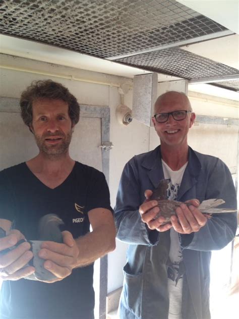 Rondje Langs De Velden Pigeoncom