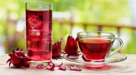 Chá de Hibisco como preparar benefícios e contraindicações YOO MAG