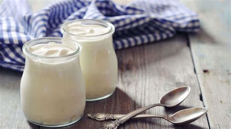 Cómo hacer Yogurt probiótico casero con más de 200 billones de
