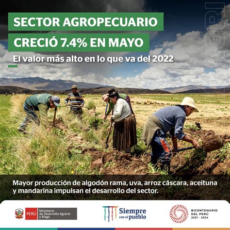 MIDAGRI PERÚ on Twitter BUENA NOTICIA Sector agropecuario creció