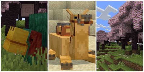 Everything Added In Minecraft S Trails Tales Update