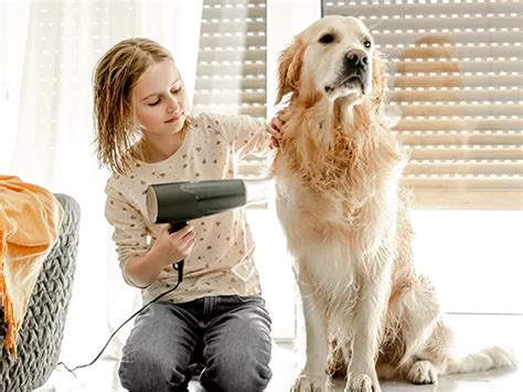 Cuáles son las responsabilidades de tener una mascota para los niños