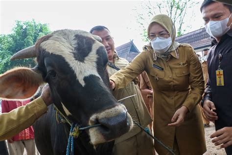 Cegah Penularan Penyakit Hewan Pemkab Purwakarta Vaksinasi Ratusan
