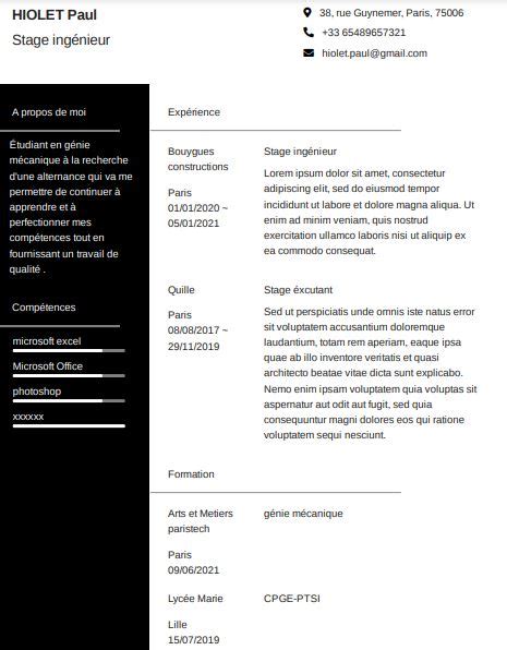 Modele De Cv Gratuit A Telecharger Word