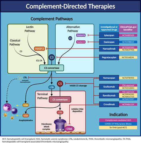 Thrombotic Microangiopathies An Illustrated Review Research And