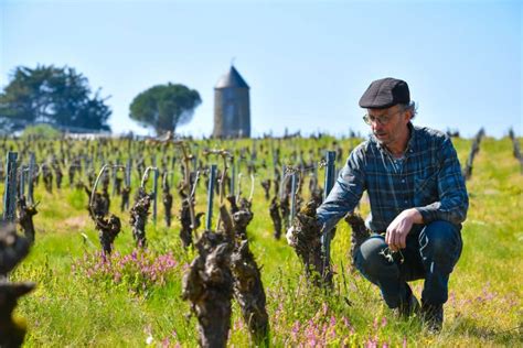 Domaine Le Fay DHomme En Loire Vinispi
