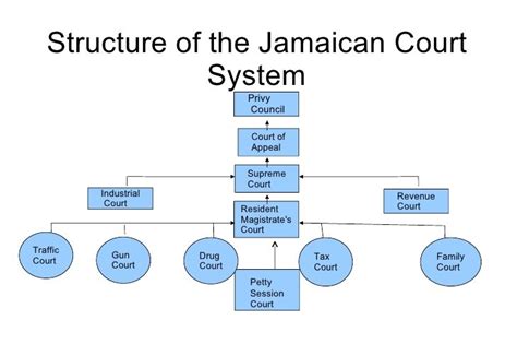 Cape Law Unit Module Structure And Hierarchy Of The Criminal And