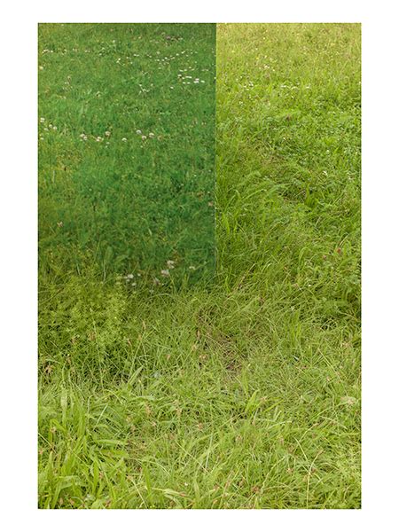 Jardín protegido una muestra fotográfica que expone diversas maneras