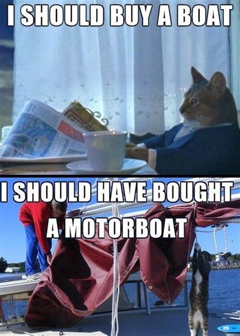 I M Starting To Regret This Decision I Should Buy A Boat Cat Buy A
