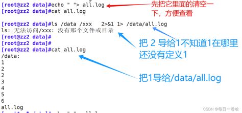 linux系统shell脚本 编程规范和变量详细解读（一） linux的shell脚本编程 csdn博客