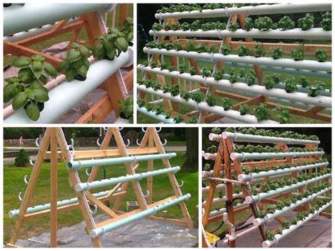 Cómo hacer un sistema hidropónico casero con 168 plantas Hydroponics