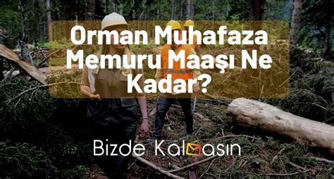 Orman Muhafaza Memuru Maaşı 2023 Maaşı Ne Kadar Bilgisaçar
