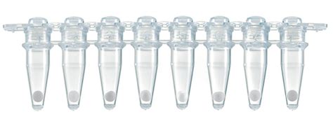 Qscript Lyo 1 Step PCR And CDNA Synthesis Reagents Quantabio