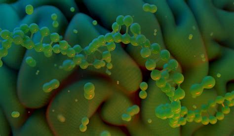 11 descubrimientos y avances de la biología humana y la medicina